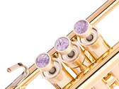 Trumpet MEDIUM Trim Kit - KGUmusic